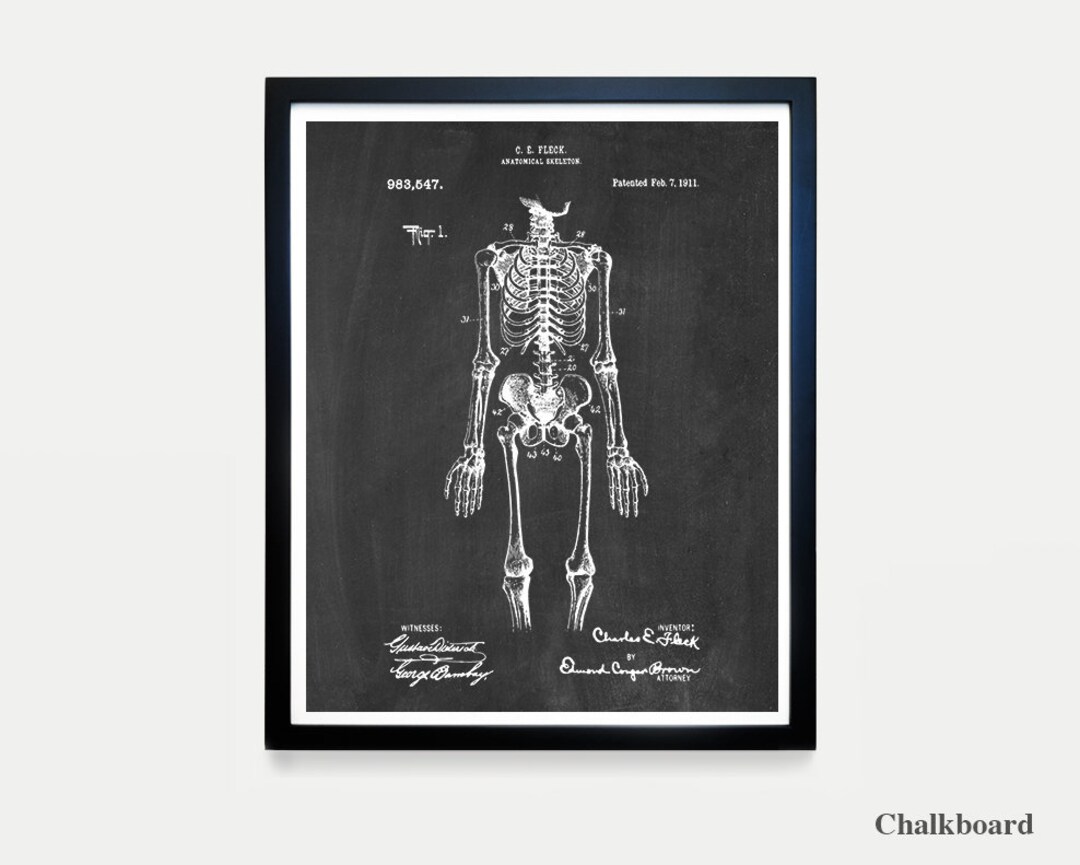 Skeleton Patent Poster – Vintage Anatomical Wall Art, Human Skeleton ...
