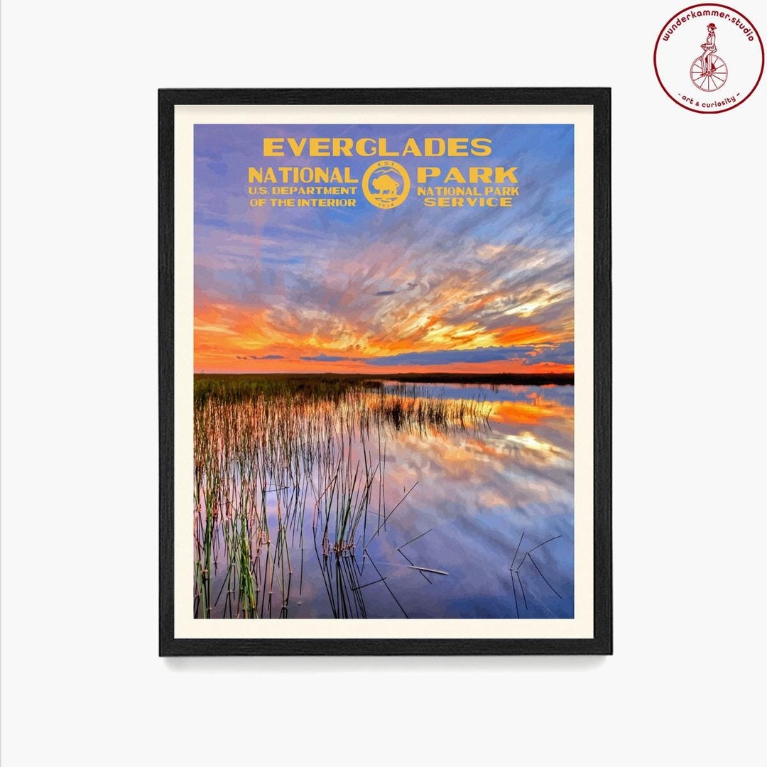 Everglades National Park Poster, Everglades Art, Florida Home Decor ...