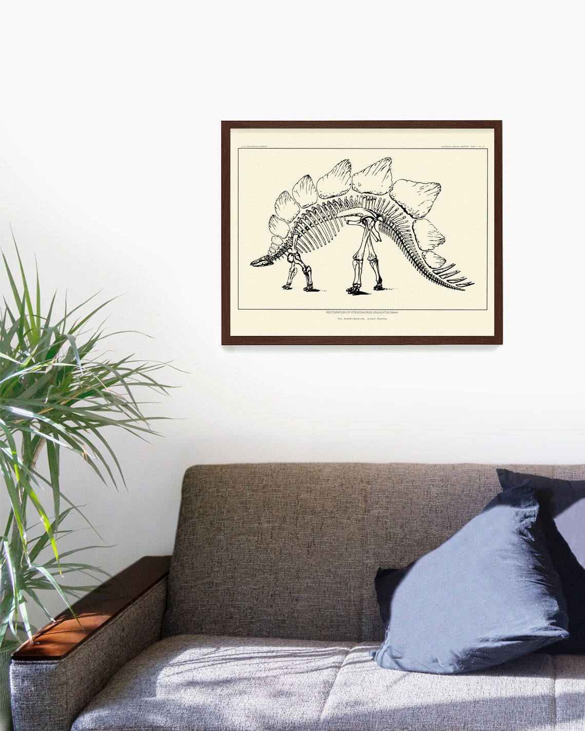 Stegosaurus Poster Dinosaur Illustration US Geological | Etsy
