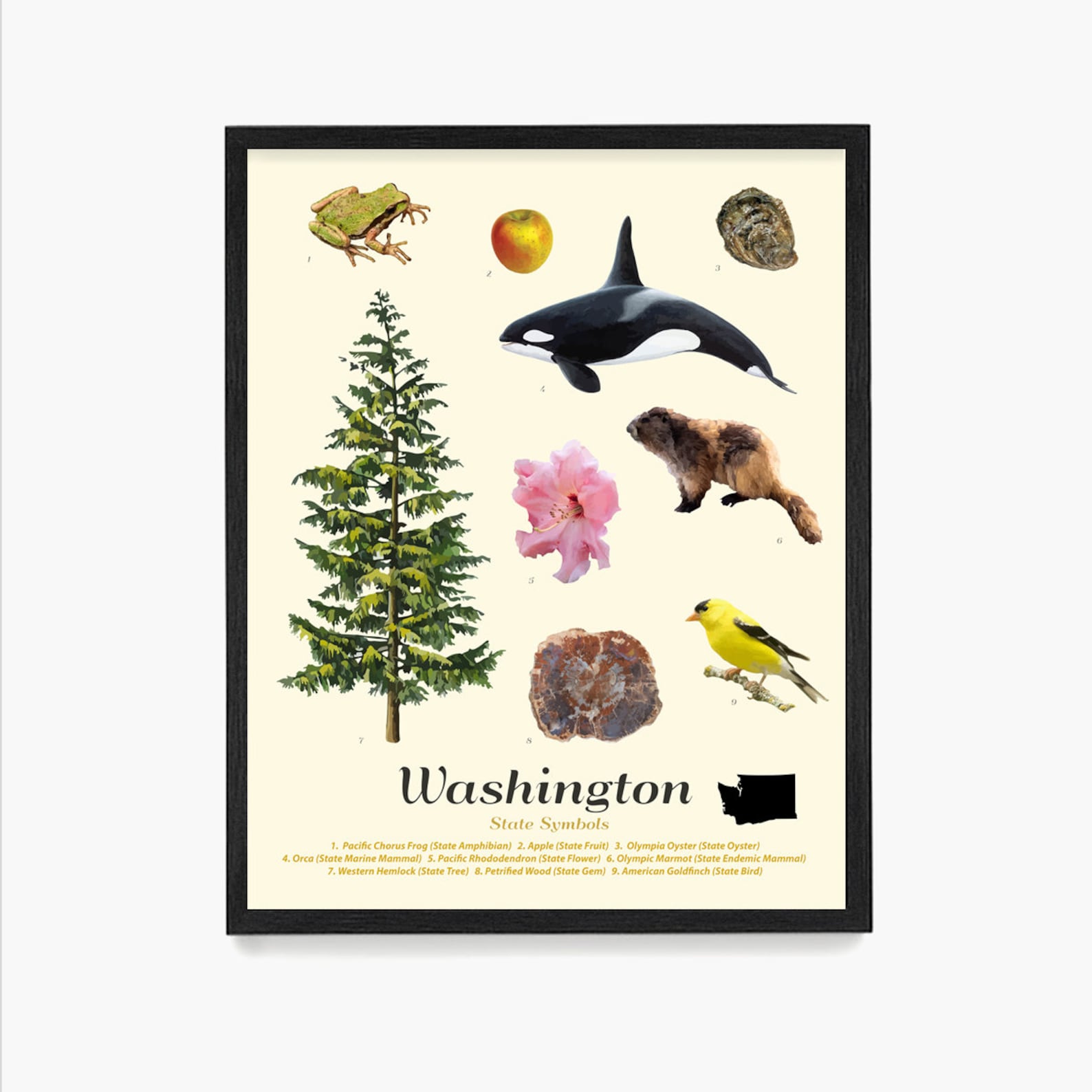 Washington State Symbols Poster Washington Wall Art | Etsy
