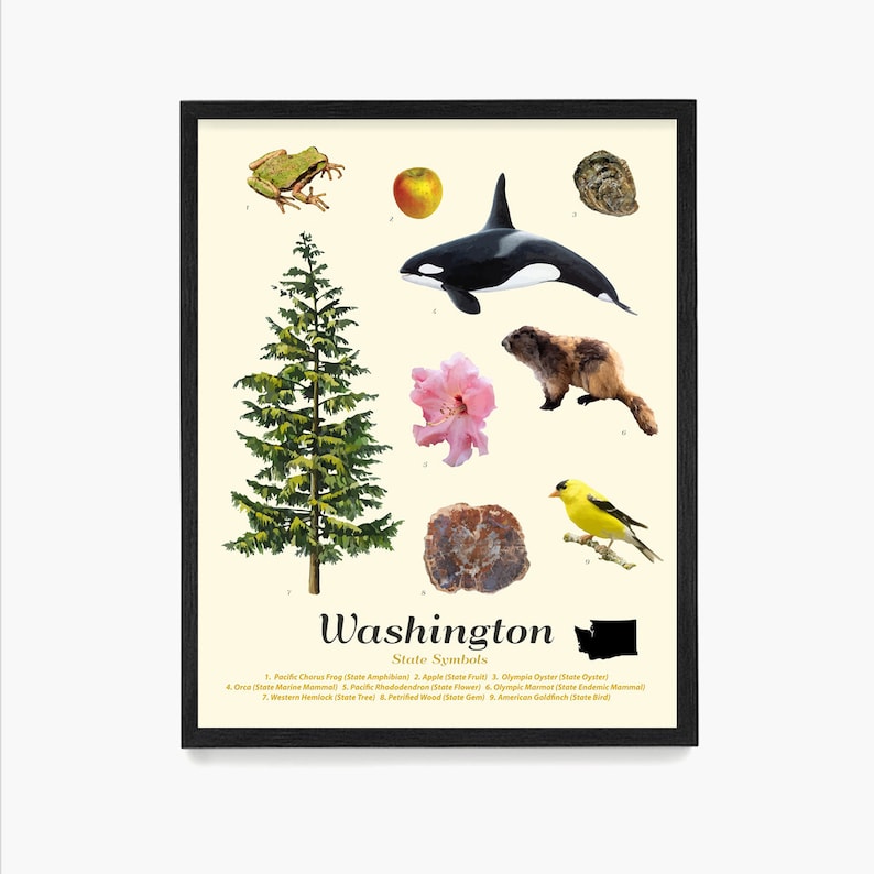 Washington State Symbols Poster Washington Wall Art | Etsy
