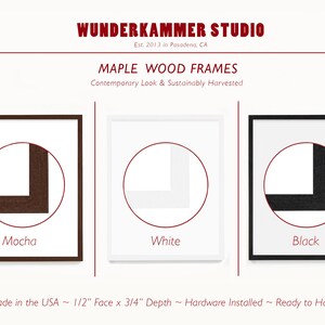 Chair Typology Poster Mid Century Wall Art Mid Century | Etsy
