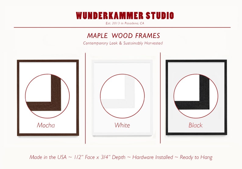 Chair Typology Poster Mid Century Wall Art Mid Century | Etsy