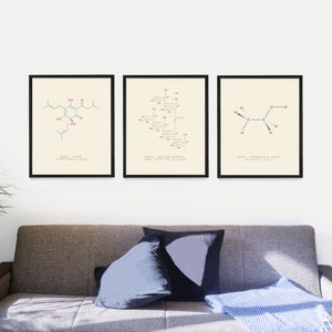 Beer Molecule Posters, the Chemistry of Beer, Hops Molecule, Barley ...