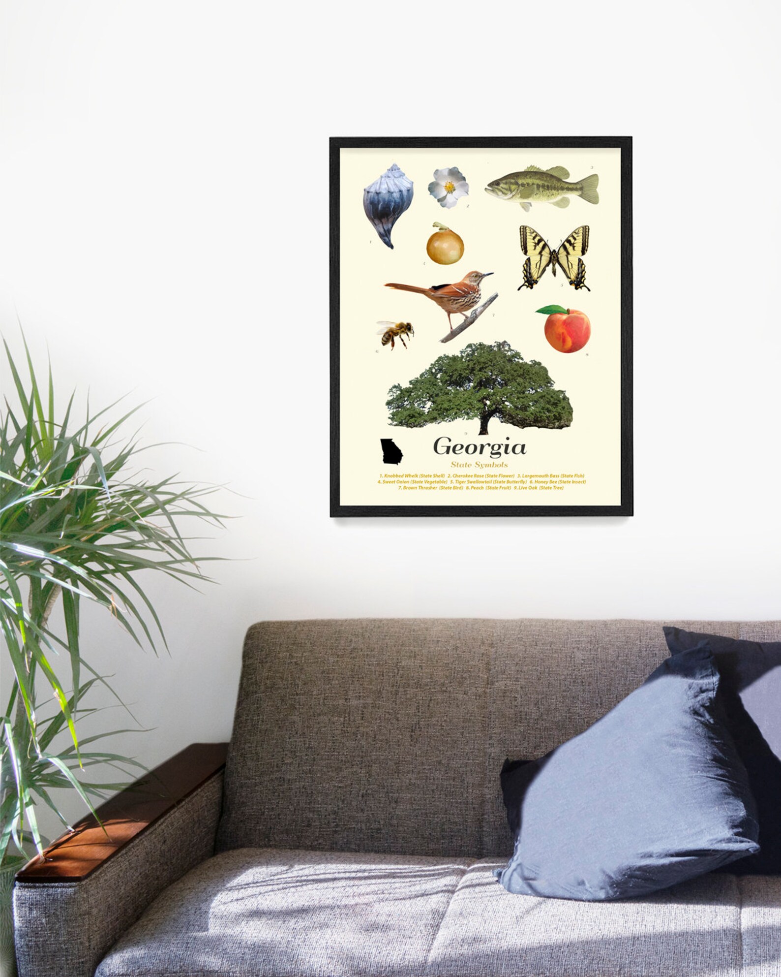 Georgia State Symbols Poster Georgia Art Georgia Poster - Etsy