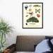 Georgia State Symbols Poster, Georgia Art, Georgia Poster, Georgia Wall ...
