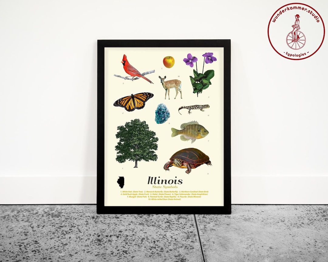 Illinois State Symbols Poster, Illinois Art, Illinois Poster, Illinois ...