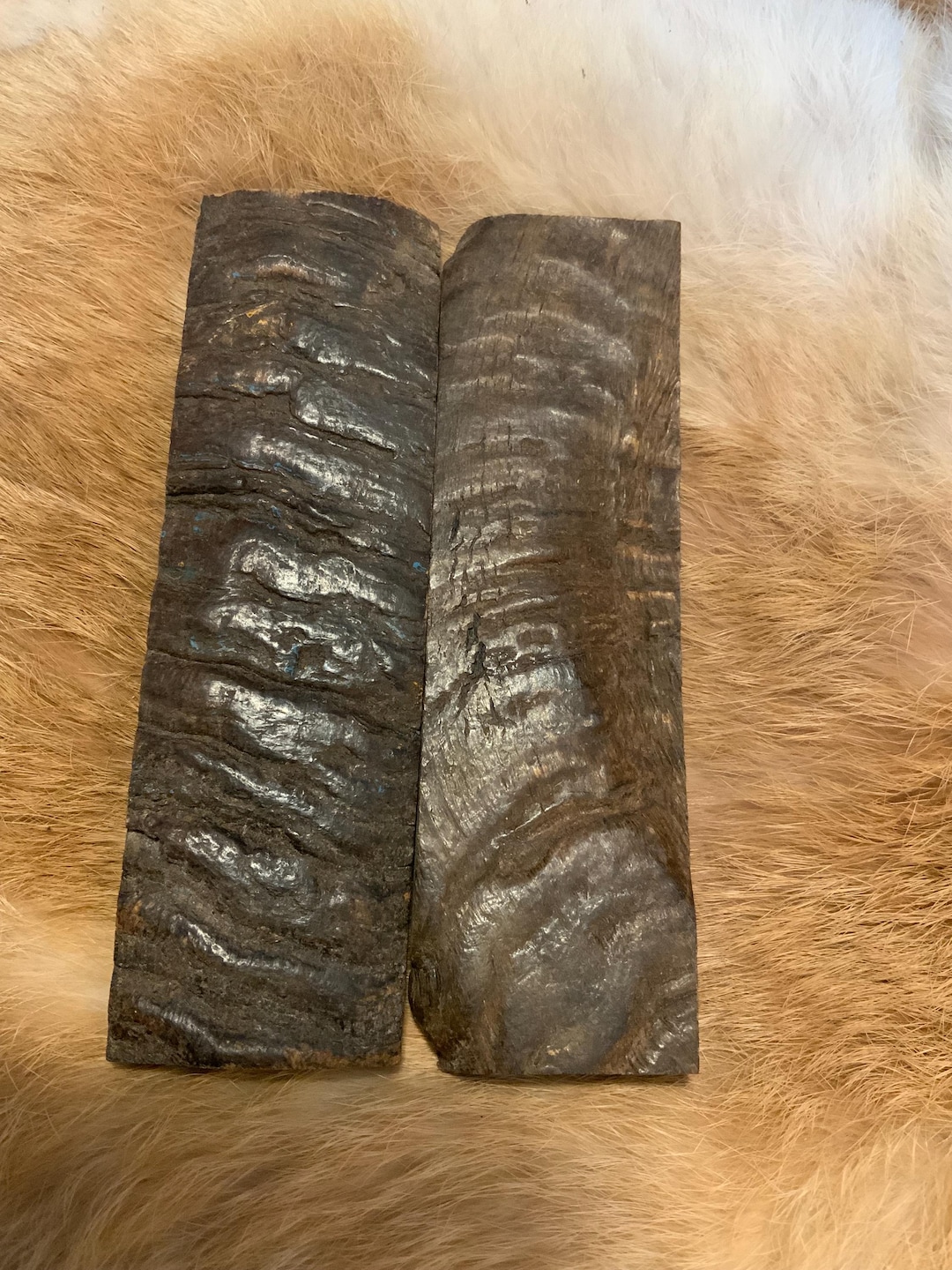 Ram Horn Scales for Knifemaking, Natural Horn, Crafts, Etc. Imported ...