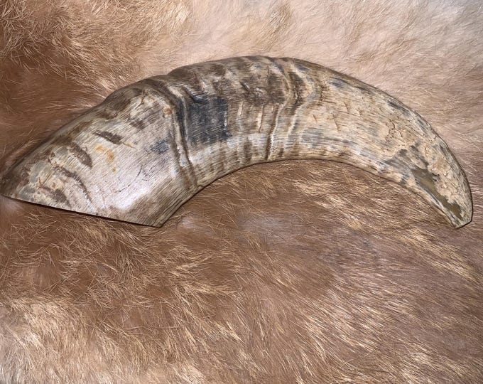 Zebu Horn Scales for Knife Handles and Crafts, Natural Translucent ...