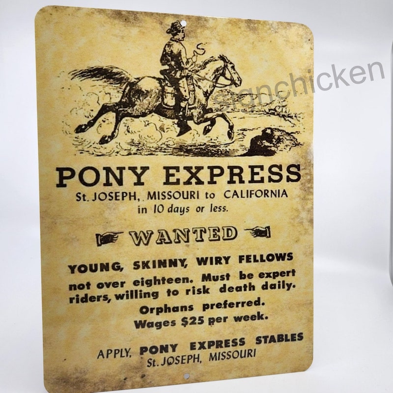 Funny Horse Sign - Etsy