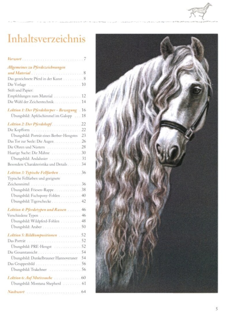 Workshop Drawing Horses Book by Nicole Zeug as PDF - Etsy