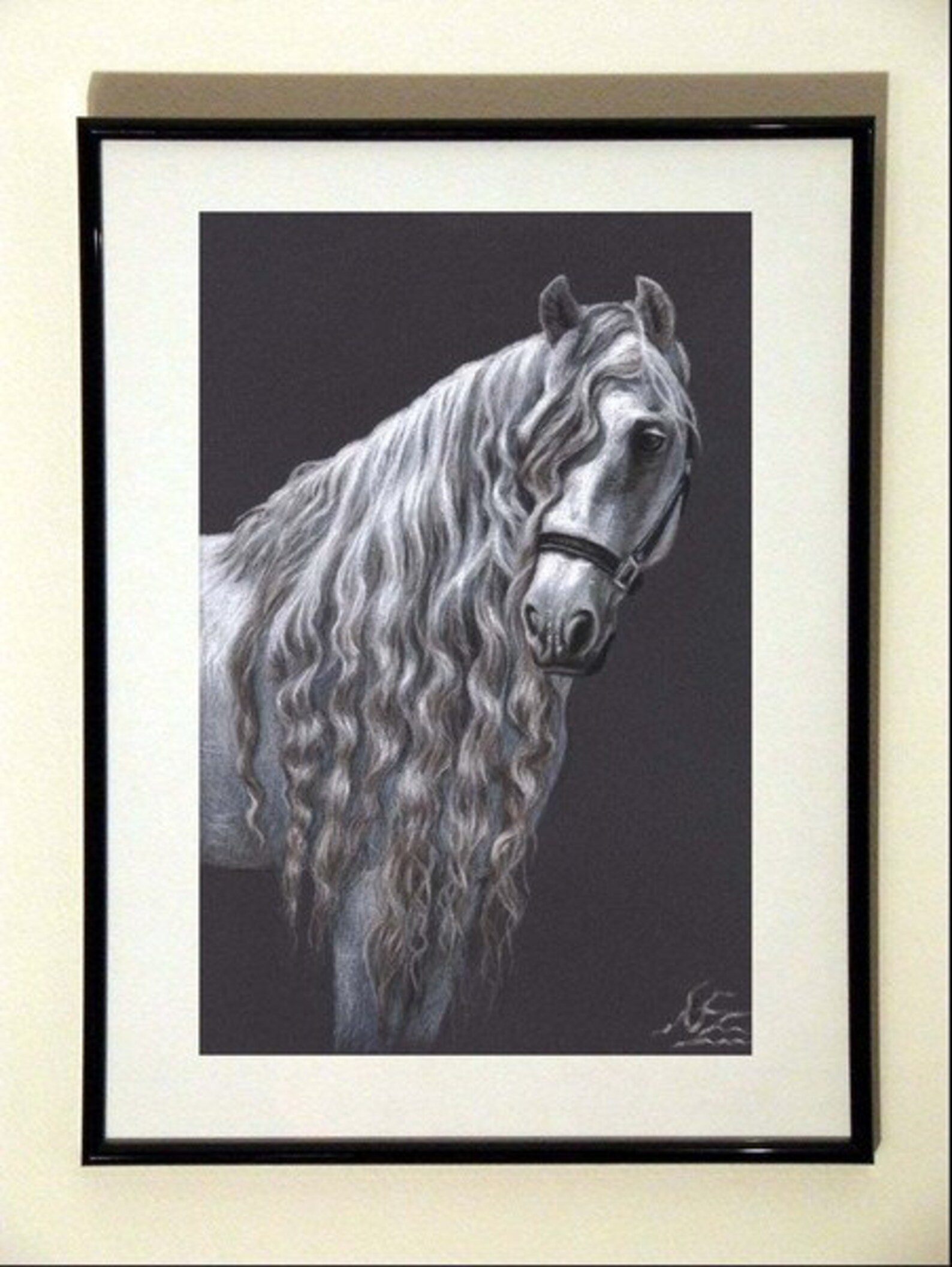Andalusian Horse Fine Art Print - Etsy