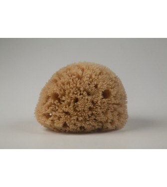 Natural Mediterranean Honeycomb Sea Sponge 10-11.50cm / 4.-4.5 Inches ...