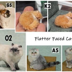 Made to Order - 1:12 Scale Custom Miniature Long or Short Haired Cats ...