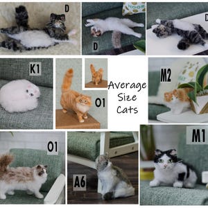 Made to Order - 1:12 Scale Custom Miniature Long or Short Haired Cats ...