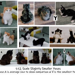 Made to Order - 1:12 Scale Custom Miniature Long or Short Haired Cats ...