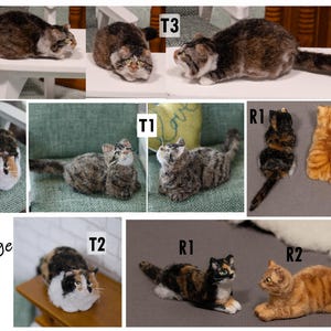 Made to Order - 1:12 Scale Custom Miniature Long or Short Haired Cats ...