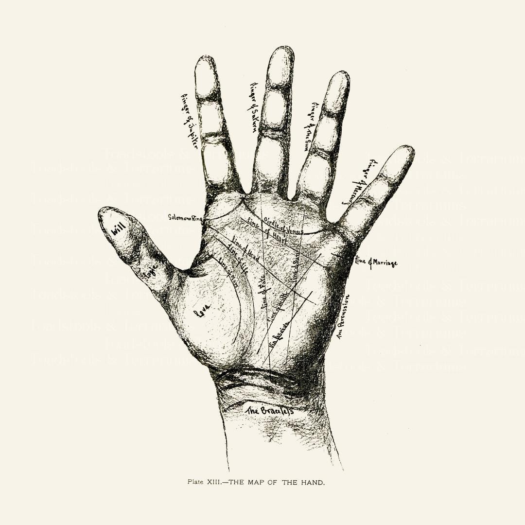 Palmistry Hand Image - Antique Occult Spirituality Illustration ...