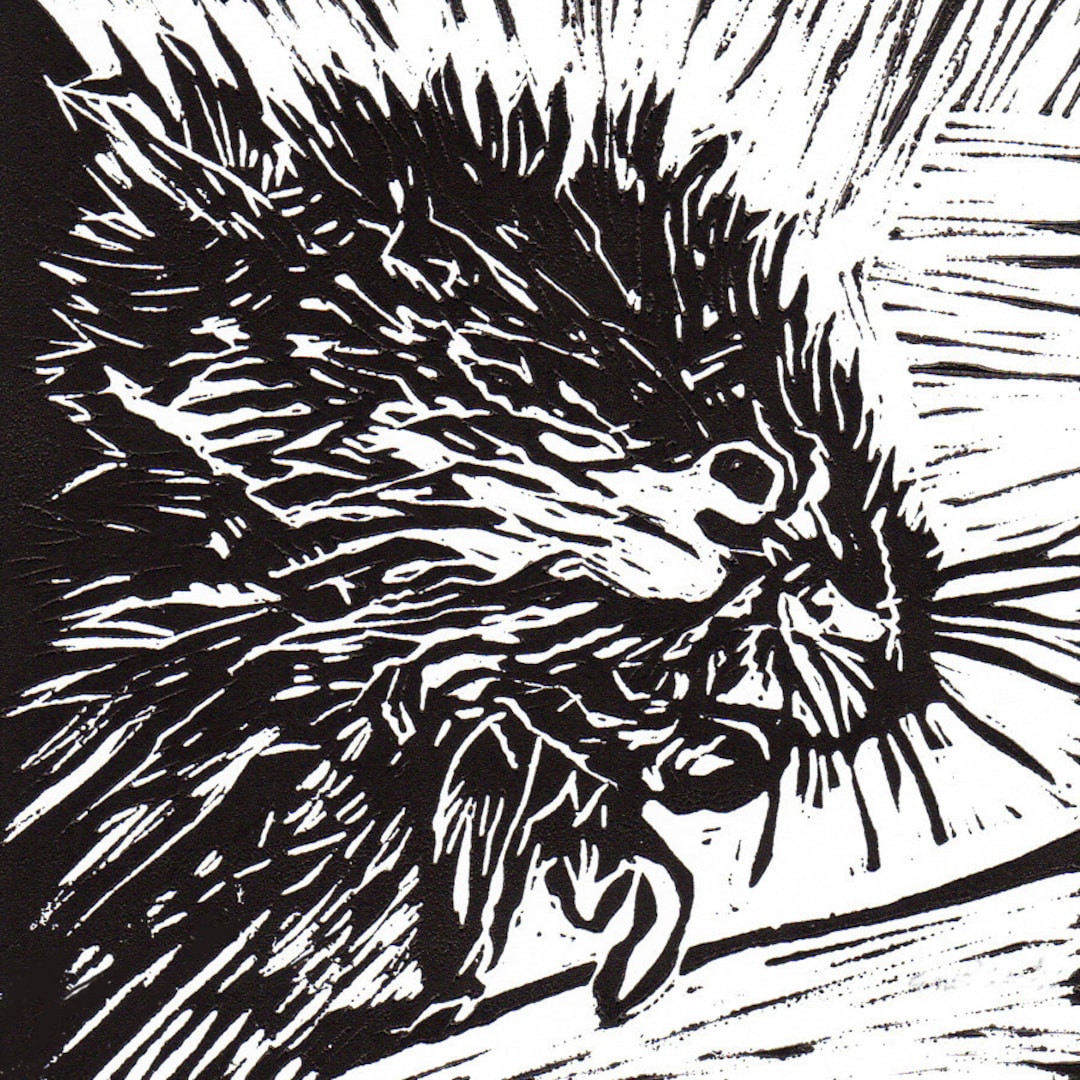 Boreal Fauna. Muskrat (odatra Zibethicus) -linocut Print - Etsy