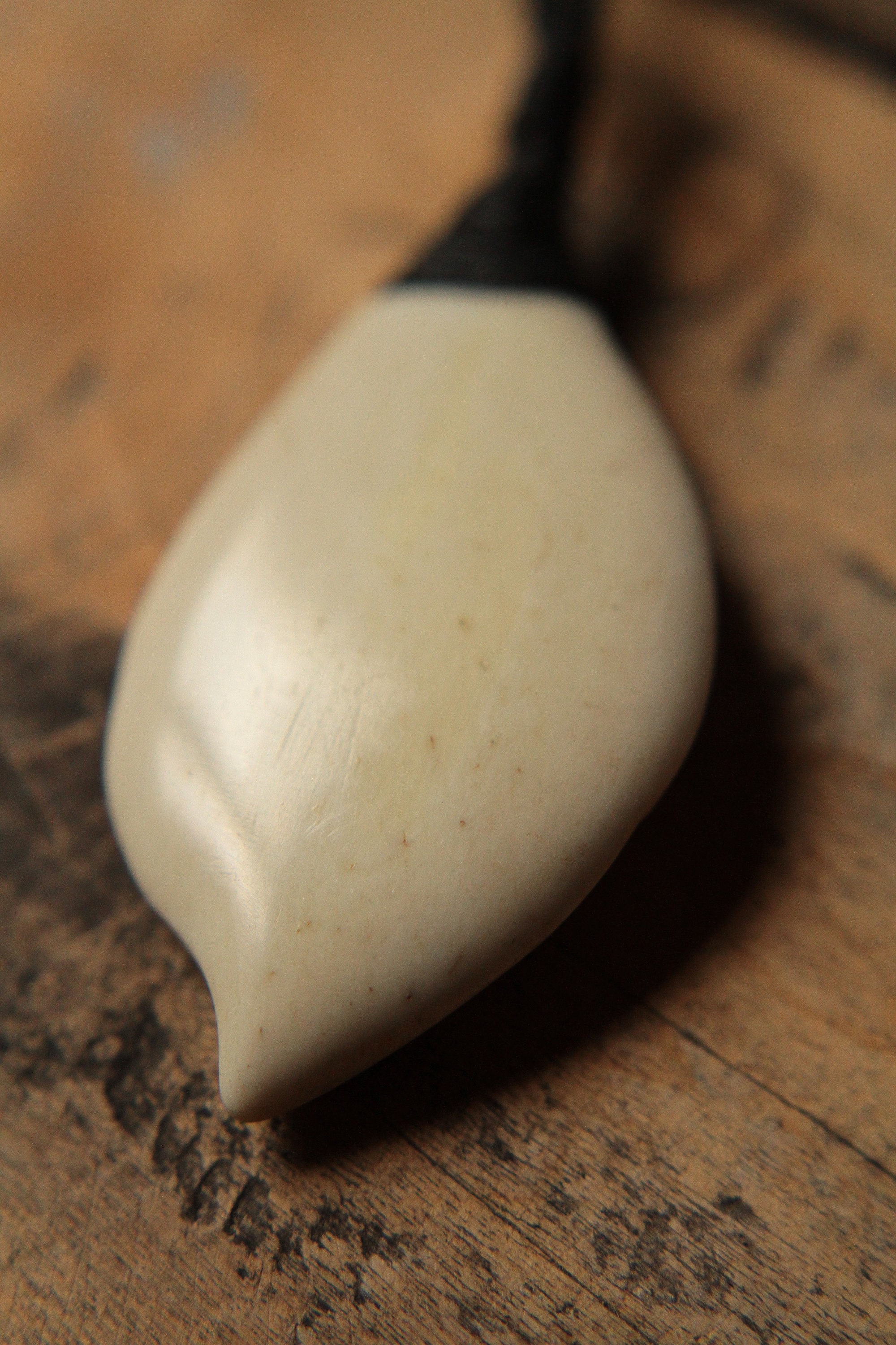 Handcrafted Maori Koru Bone Carving | Unique New Zealand Art | Tribal ...