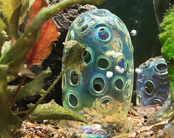 Swiss Dome Fish Tank Functional Art - Etsy