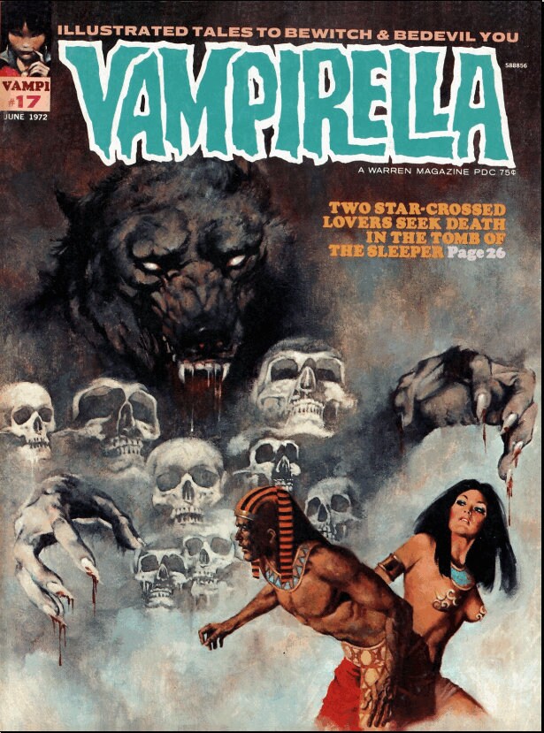 Vampirella Magazine Comics. Rare Vintage. Silver Age. From - Etsy