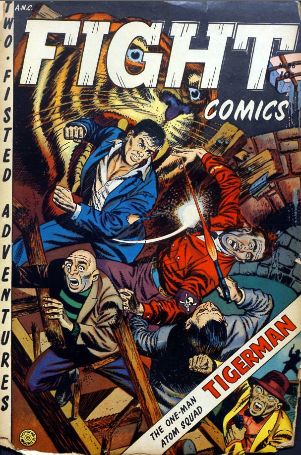 Fight Comics. Golden Age. Rare Vintage Comics 1940-1954 DVD No1 and DVD ...