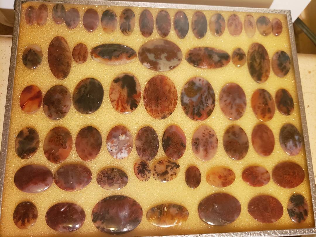 Rare Oregon Powelle Butte Agate Collection Museum Quality Vintage - Etsy