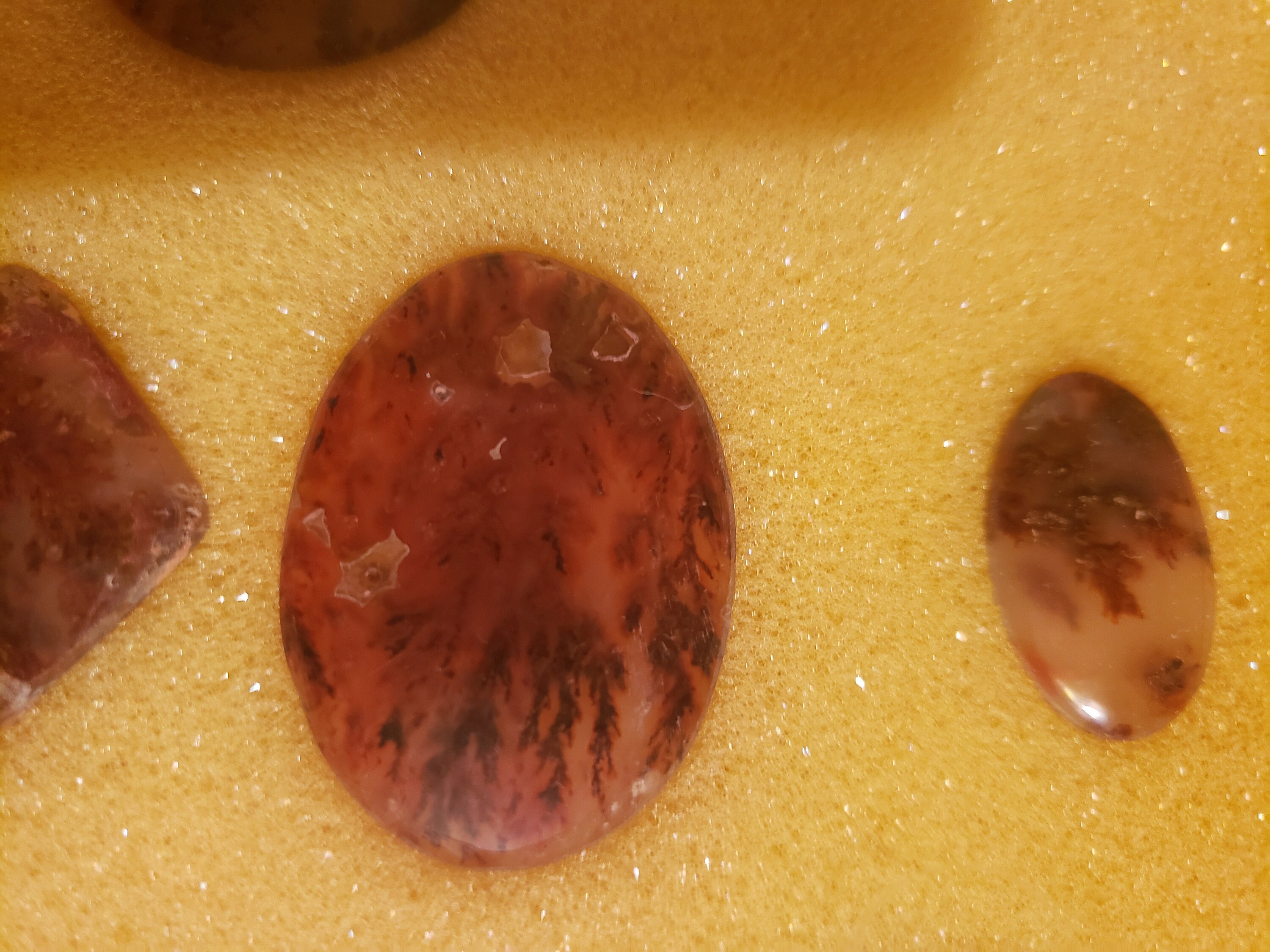 Rare Oregon Powelle Butte Agate Collection Museum Quality Vintage - Etsy