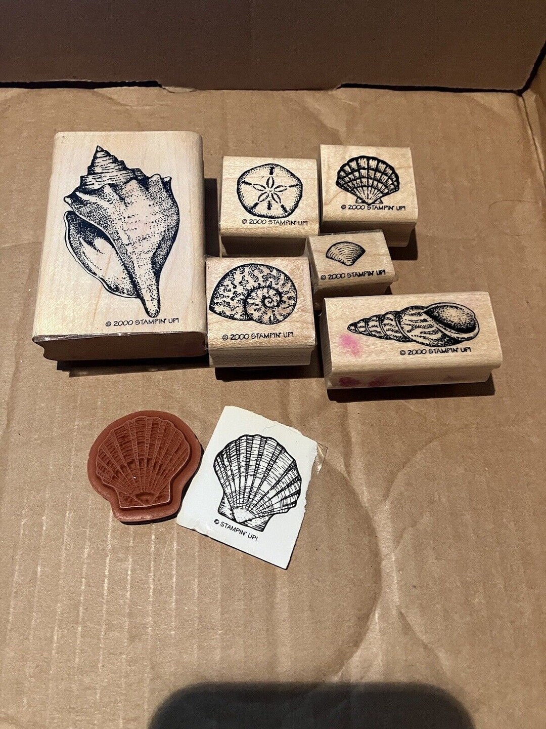 Stampin up Stipple Shells Rubber Stamp Set Wood Mounted Retired - Etsy