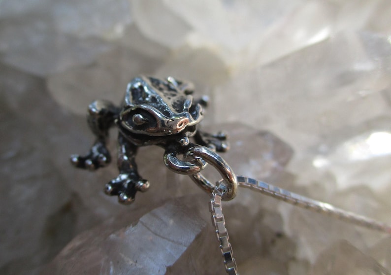 Detailed Frog Necklace -hand Cast Sterling Silver- 18" Sterling Silver ...