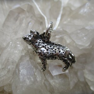 Hyena Necklace -hand Cast Sterling Silver- 3/d Details W/20 Inch ...