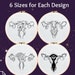 Insect Hand Embroidery Patterns 10 Designs in 6 Sizes DIY Moth Beetle ...