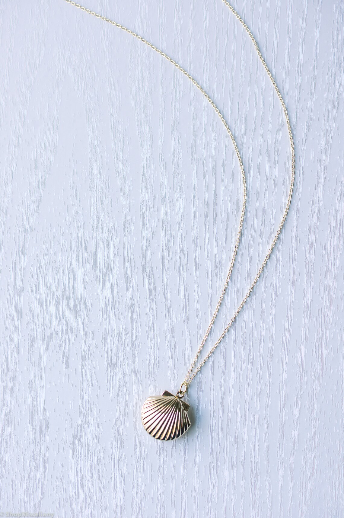 Sea Shell Locket Necklace / Scallop Shell Locket / Best | Etsy