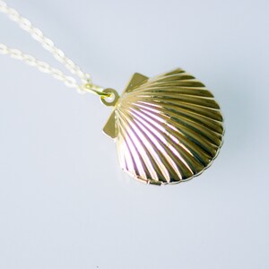 Sea Shell Locket Necklace / Scallop Shell Locket / Best Birthday Gift ...