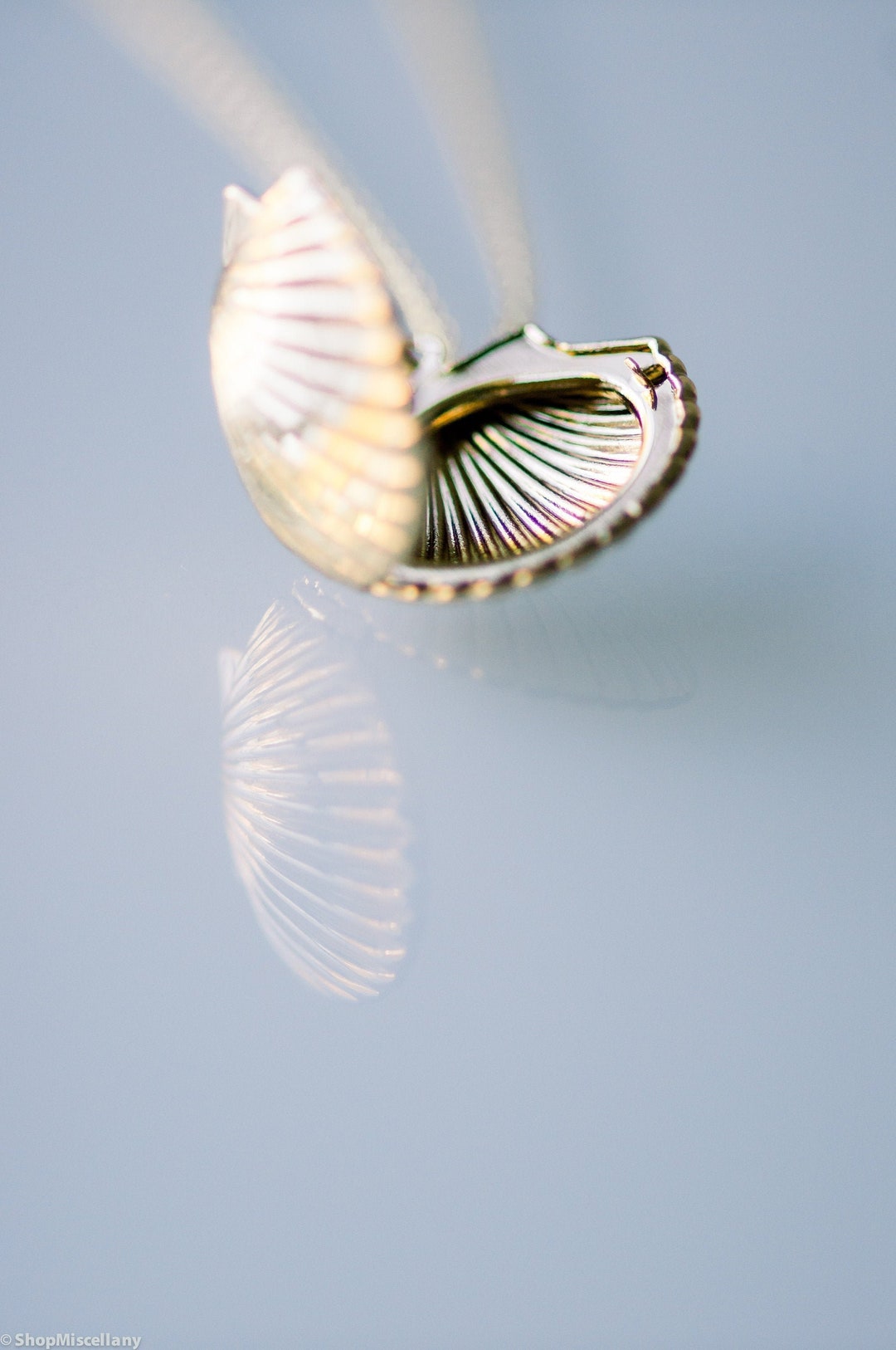 Sea Shell Locket Necklace / Scallop Shell Locket / Best Birthday Gift ...