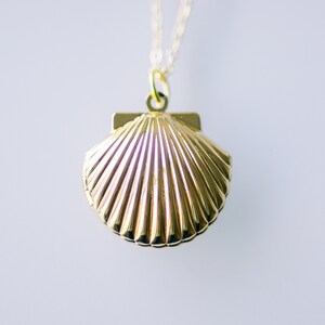 Sea Shell Locket Necklace / Scallop Shell Locket / Best Birthday Gift ...