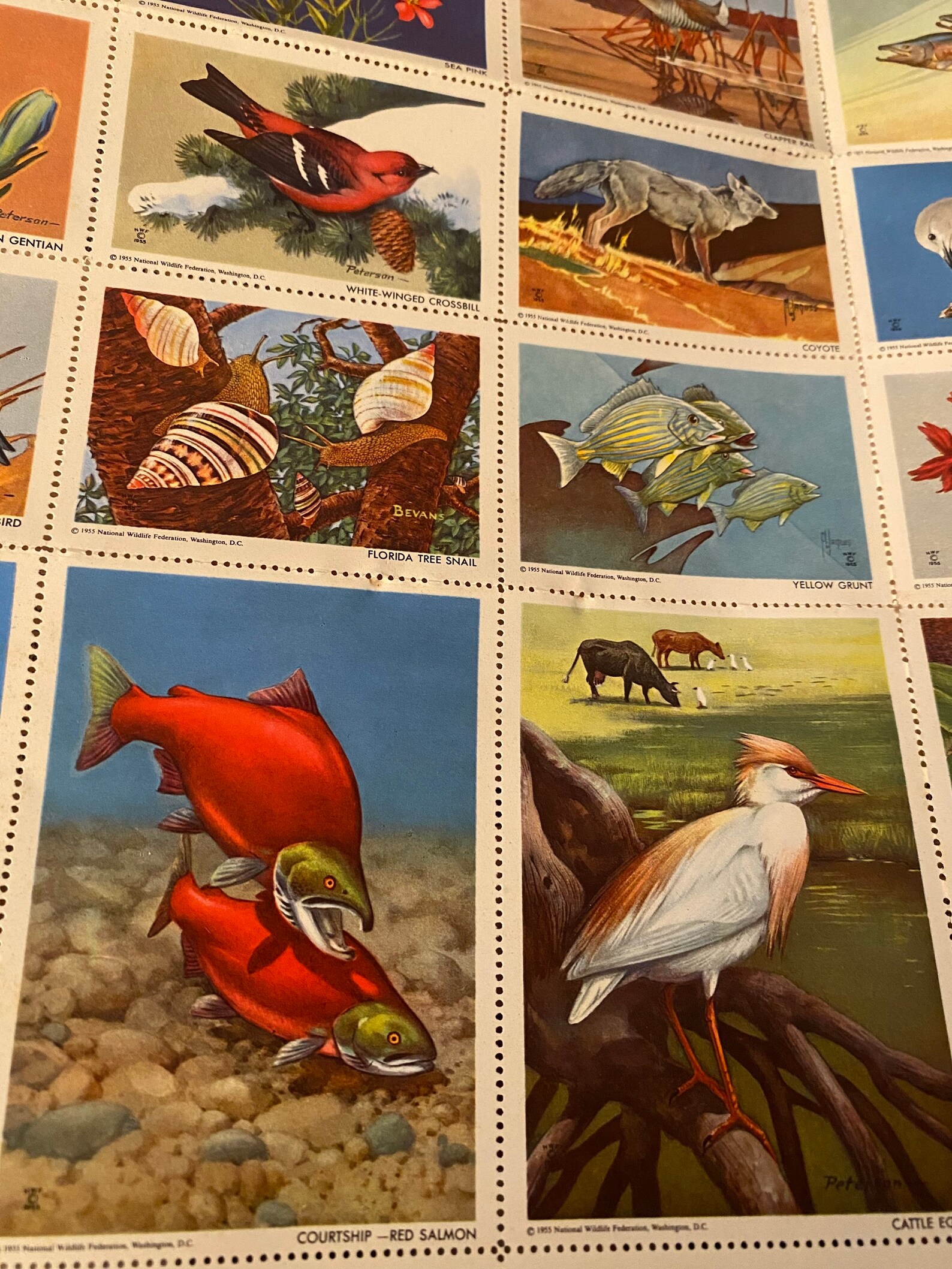 National Wildlife Federation Wildlife Stamp Album Rare NOS | Etsy