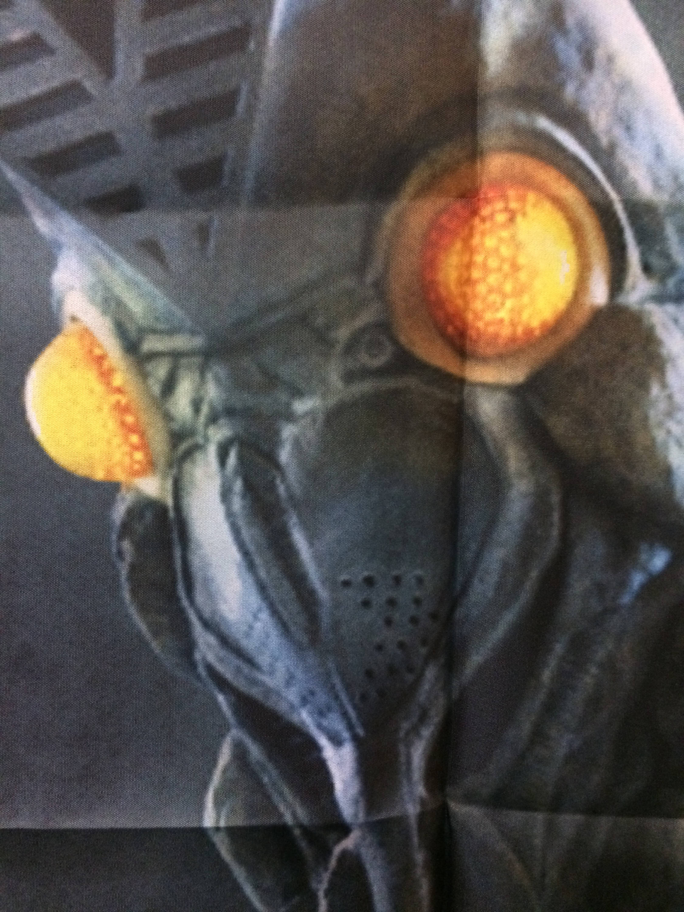 BALTAN Alien Seijin Seizin FLAG/BANNER Godzilla King Kong Kamenrider ...