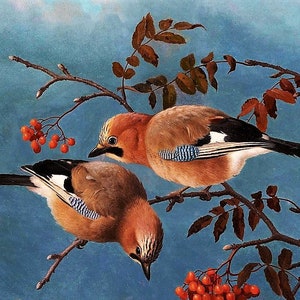 Jays, Cross Stitch Pattern. Counted Cross Stitch, Hand Embroidery ...