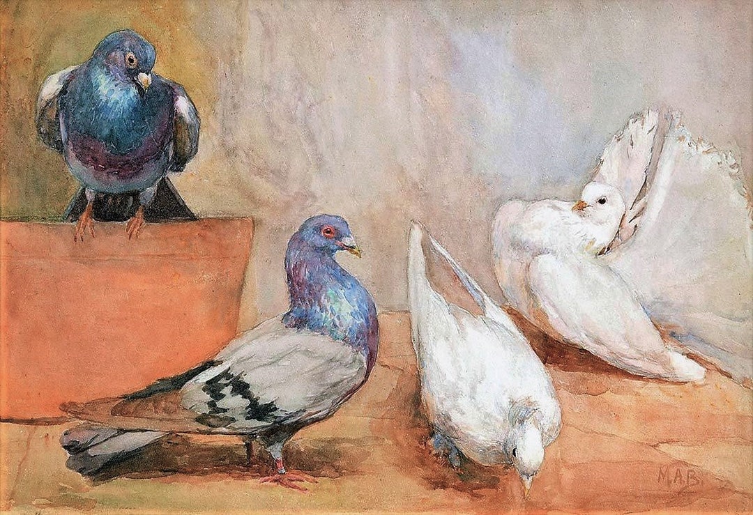 Racing Pigeons and Fancy Doves Cross Stitch Pattern - Etsy
