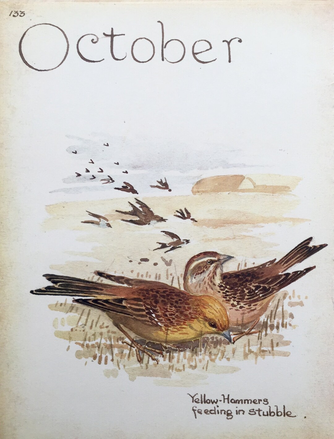 Vintage Book Plate - Month of October - Country Diary of an Edwardian ...