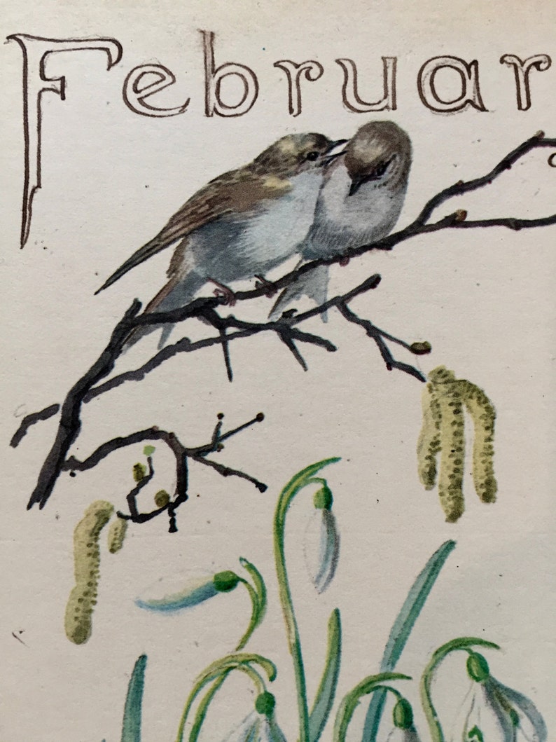 Vintage Book Plate February Country Diary of an Edwardian - Etsy