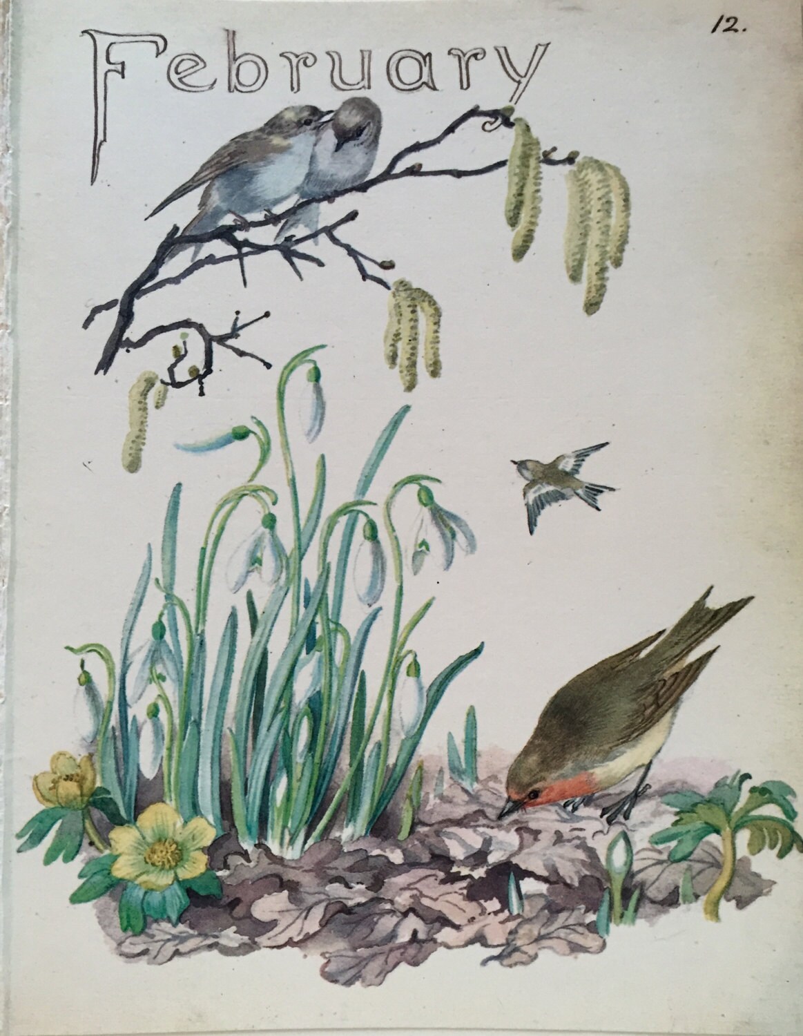 Vintage Book Plate February Country Diary of an Edwardian - Etsy