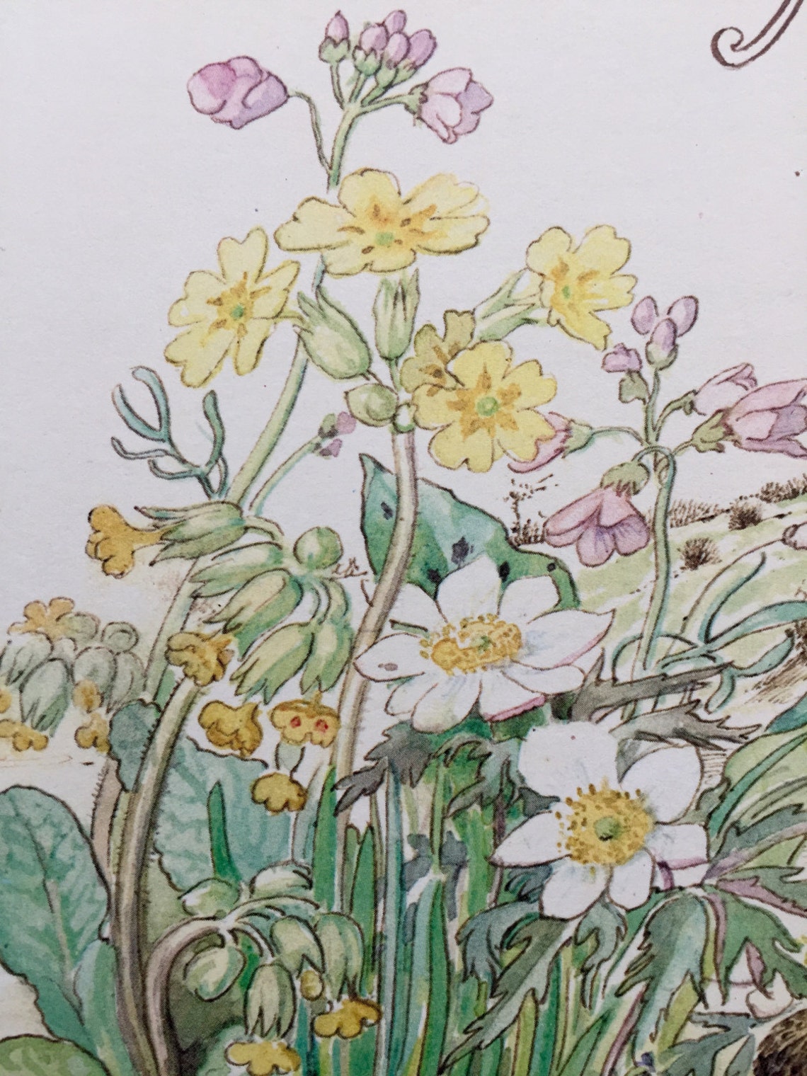 Vintage Book Plate Month of April Country Diary of an - Etsy