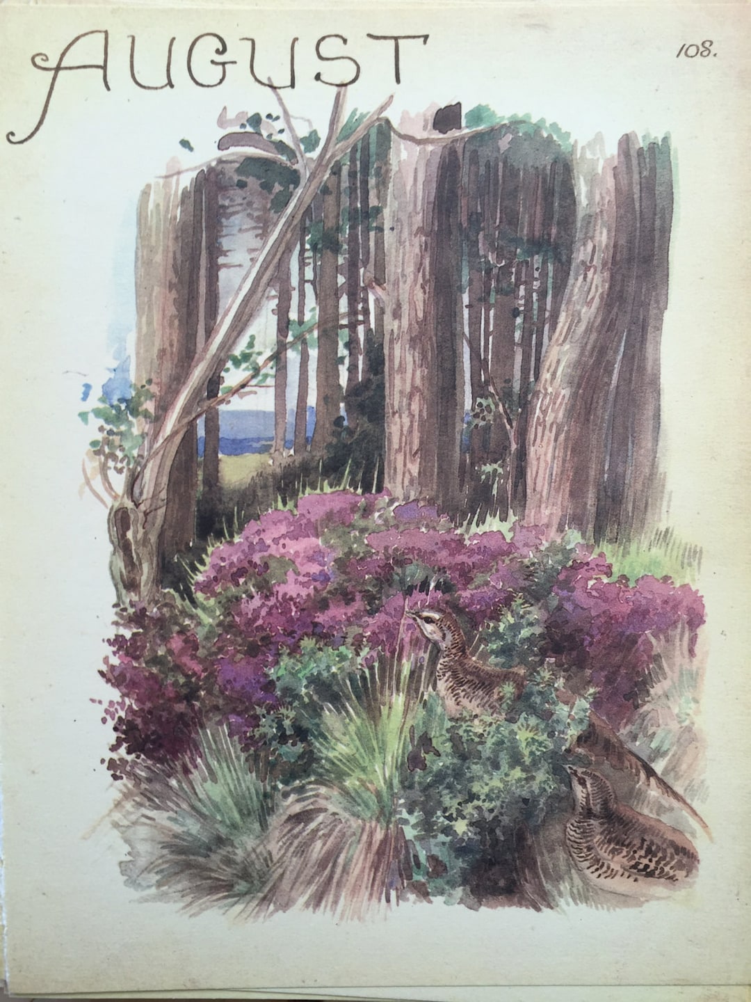 Vintage Book Plate - Month of August - Country Diary of an Edwardian ...