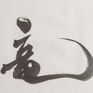 Japanese Calligraphy " Ryu" -- Dragon - Etsy