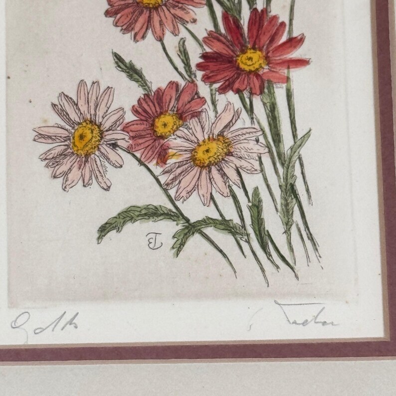 Vintage Botanical Prints Set of 4 Hand-colored Etchings Signed in ...
