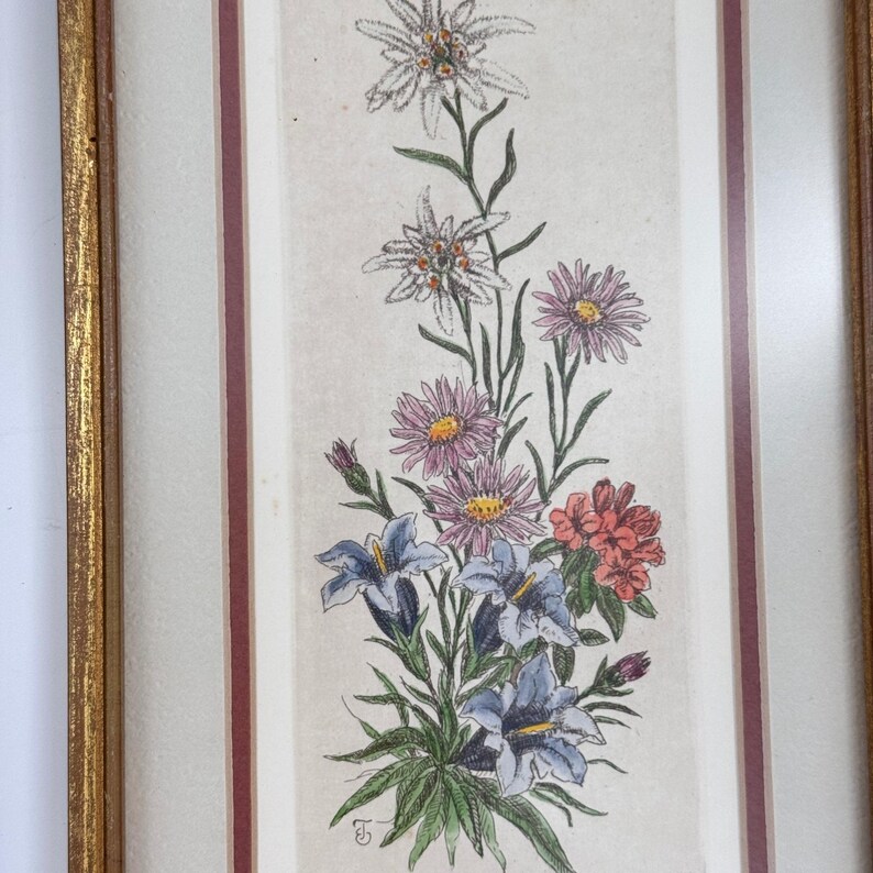 Vintage Botanical Prints Set of 4 Hand-colored Etchings Signed in ...