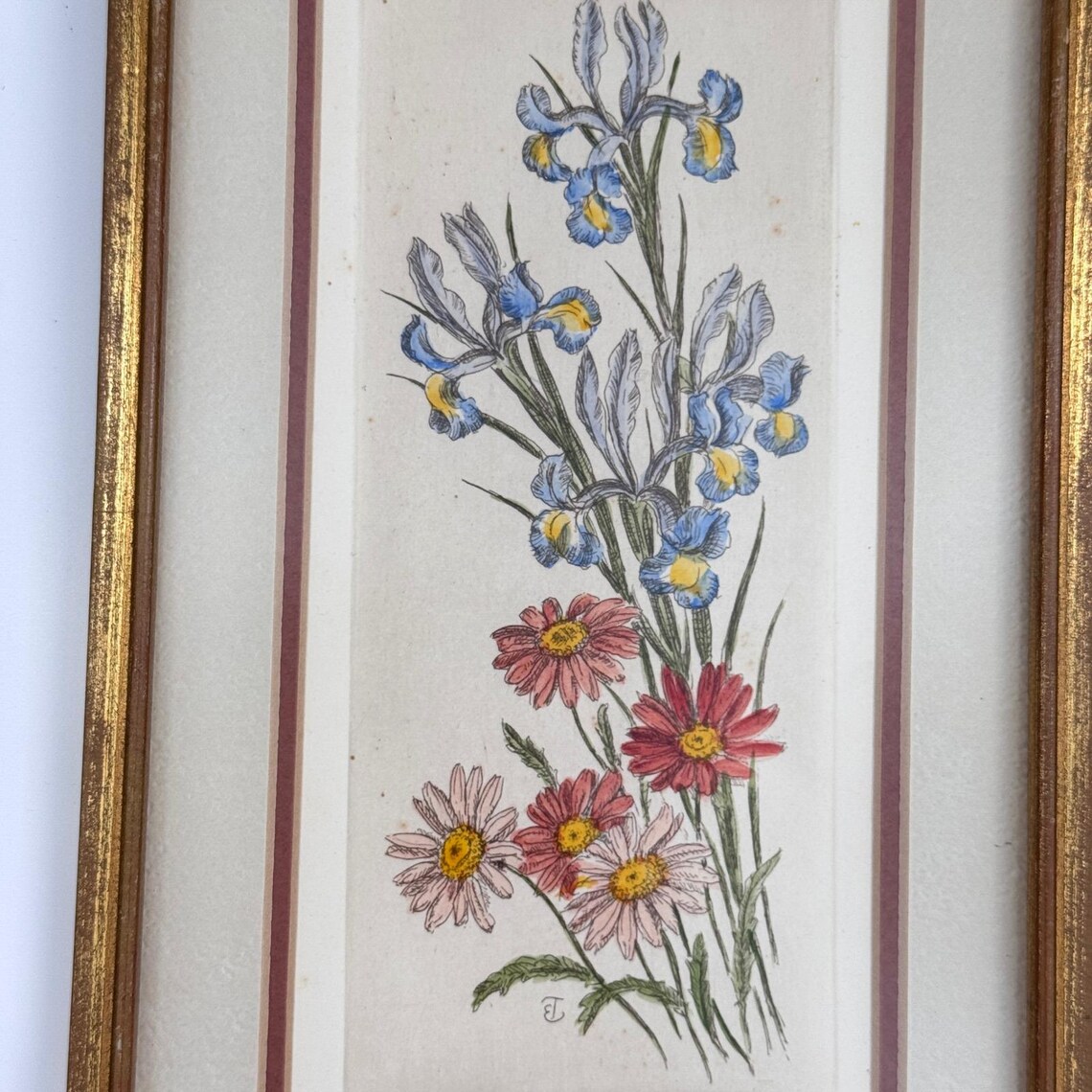 Vintage Botanical Prints Set of 4 Hand-colored Etchings Signed in ...